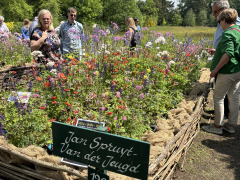 CNB.nl | Bezoek Tuindagen van Beervelde!