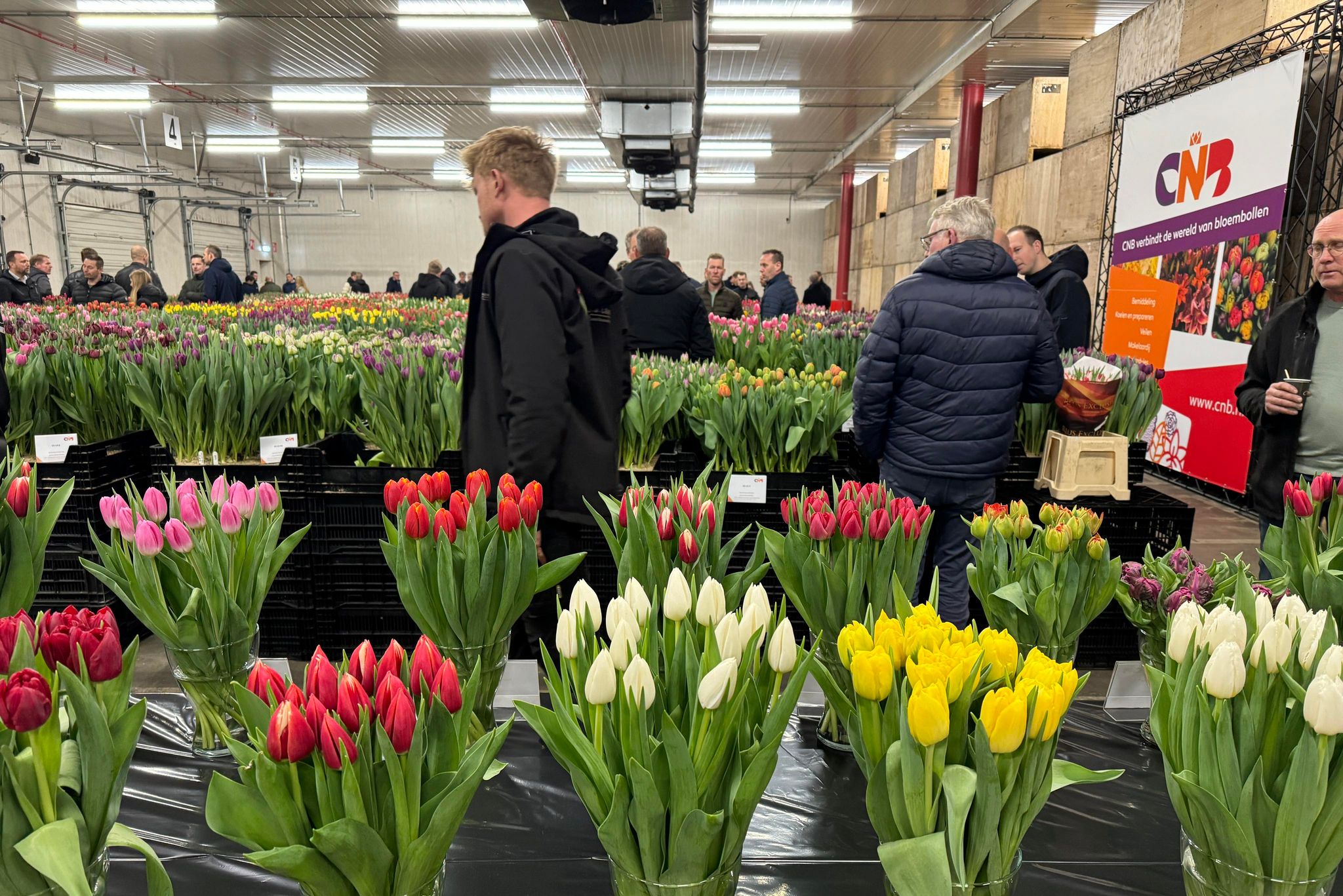 CNB.nl | CNB Marktbroeishow 2025