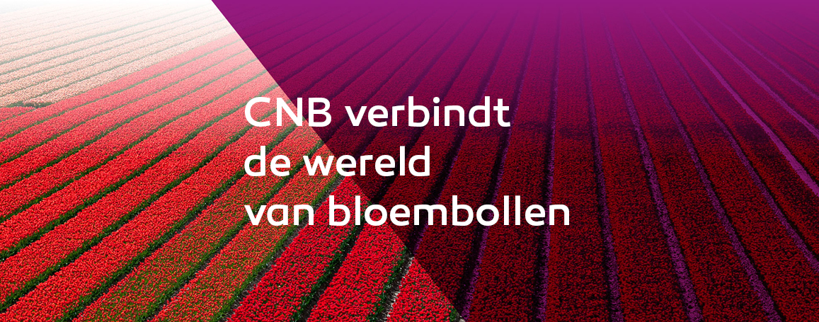 CNB.nl | Home