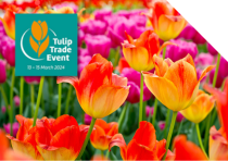 CNB.nl | Tulip Trade Event 2024